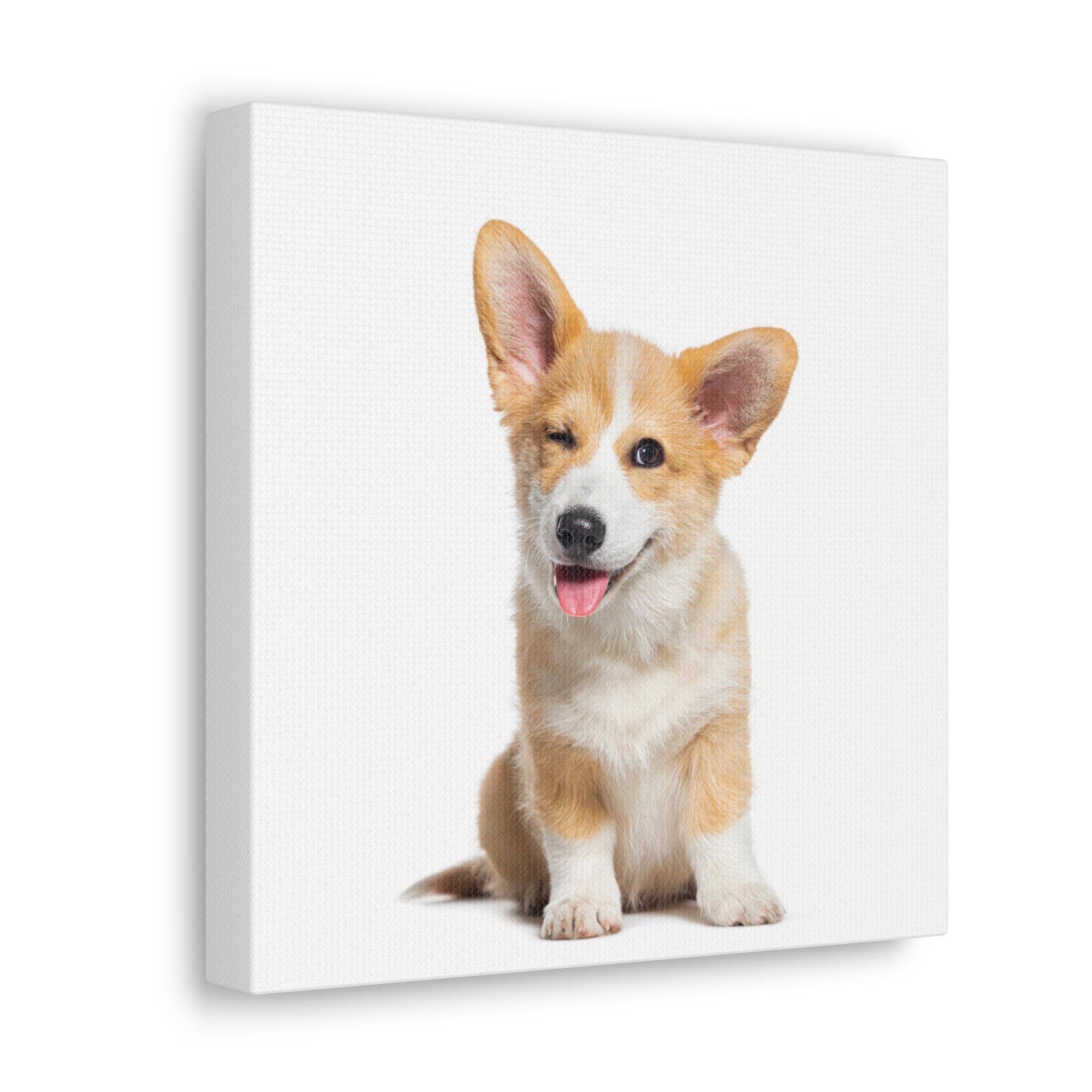 Custom Dog Print – FaceSocks